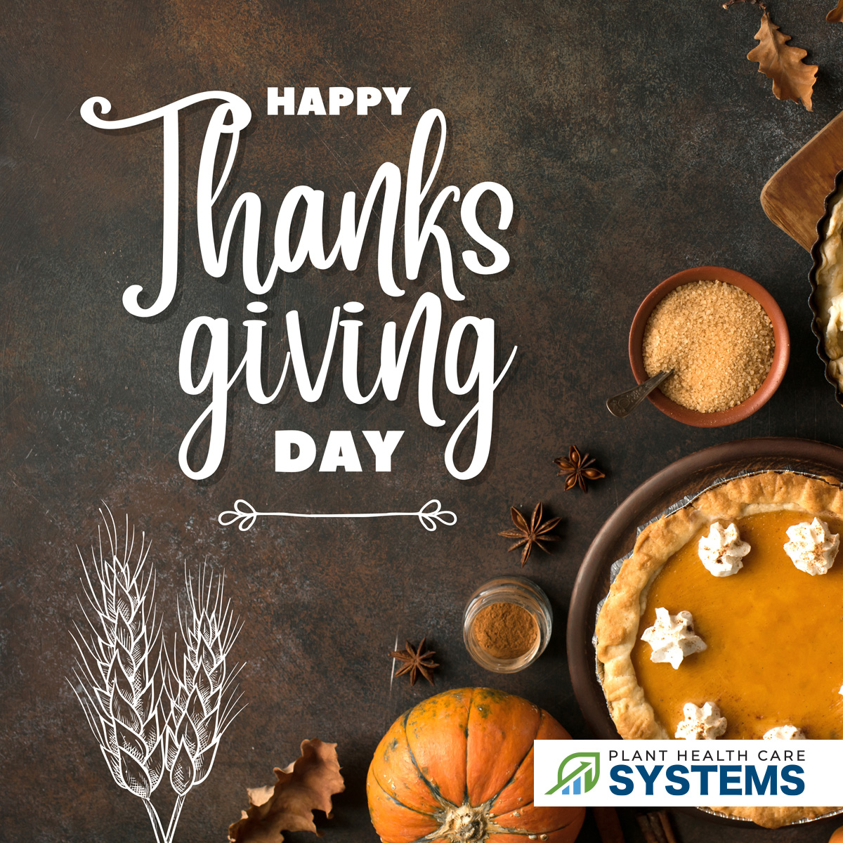 Happy Thanksgiving, everyone! - Plant Health Care Systems LLC